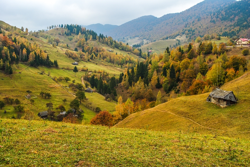 Pe urmele toamnei la poalele Pietrei Craiului – Viața pe coclauri